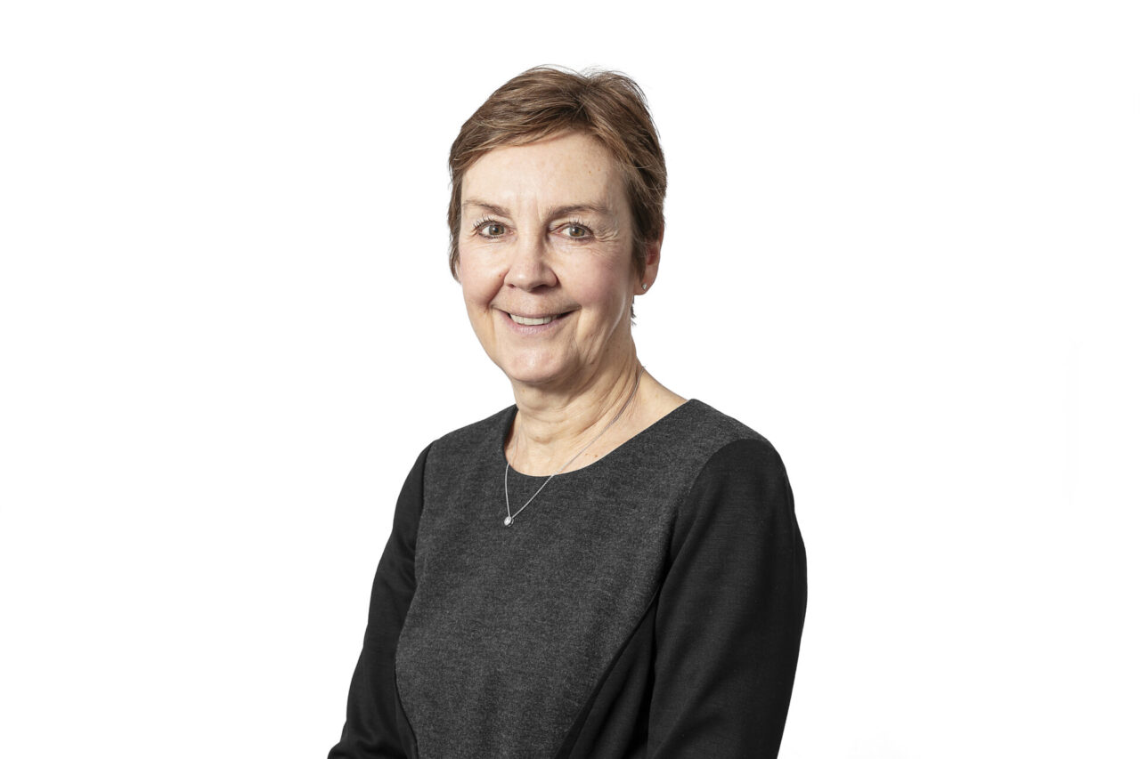 The board and executive team - Sabre Insurance Group PLC